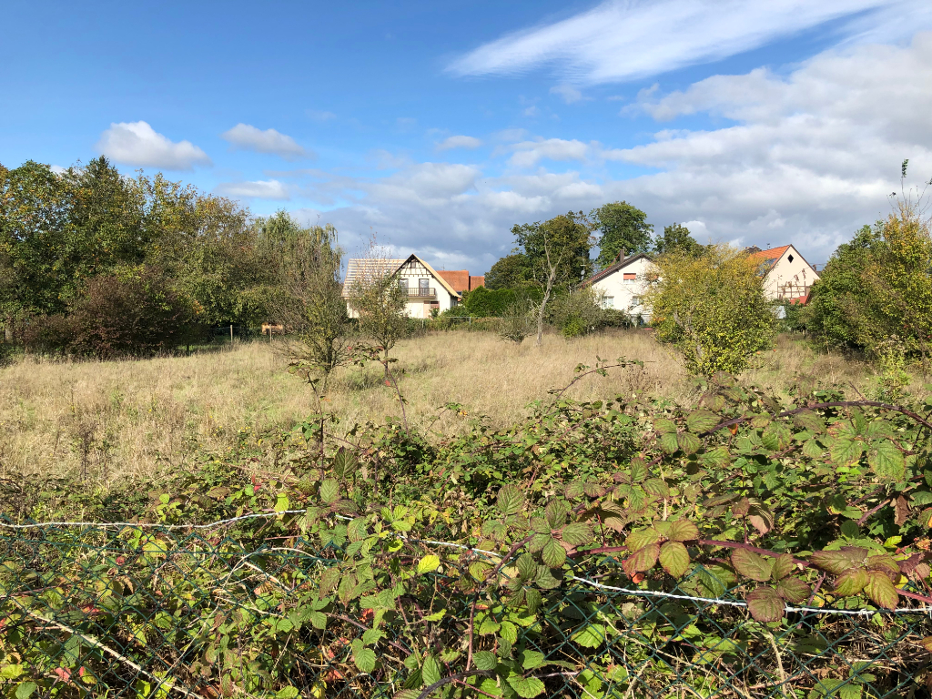 Nouveau Terrain De 4 Ares Dans Le Lotissement De Roeschwoog Roeschwoog nouveau-terrain-de-4-ares-dans-le-lotissement-de-roeschwoog-roeschwoog